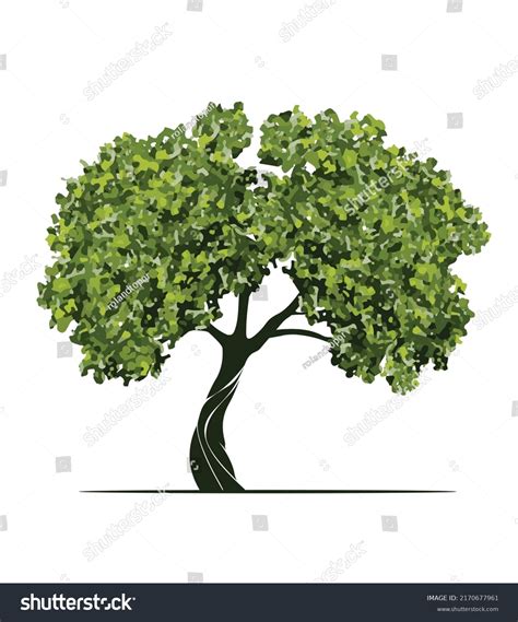 Shape Green Tree Leaves Vector Outline Stock Vector Royalty Free 2170677961 Shutterstock