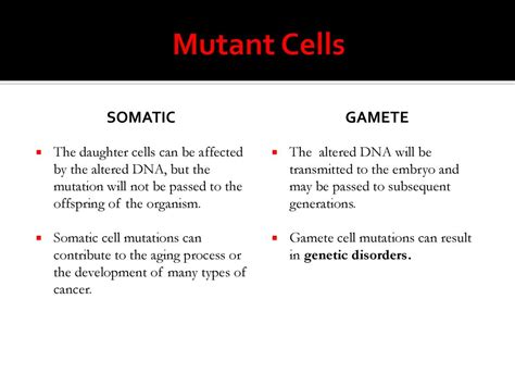 Mutations Ppt Download