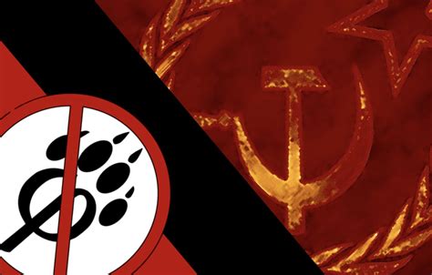 🔥 30 Anti Furry Flag Wallpapers Wallpapersafari