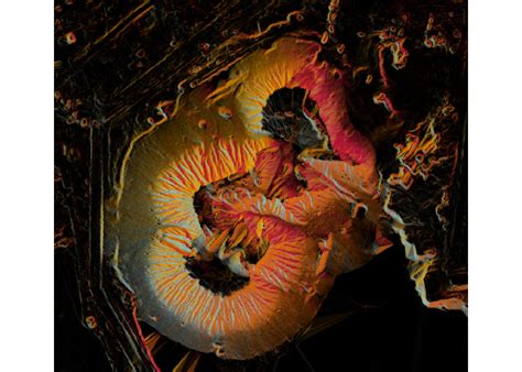 Geospatial Analysis With Python And R Lesson 8 3d Mapping