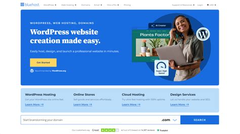 Bluehost Web Hosting Review 2024 10beaus