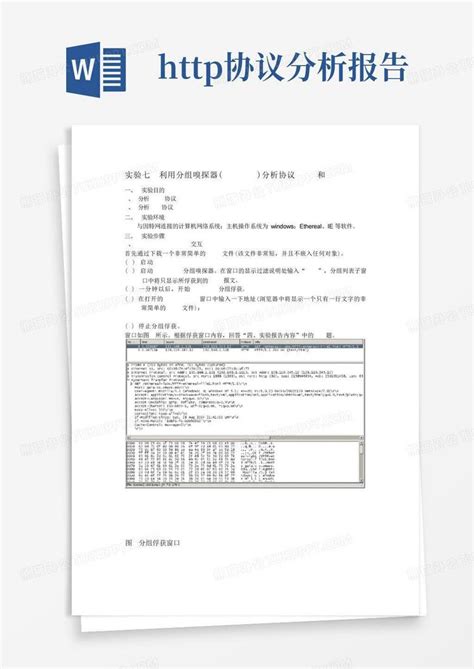 网络实验 分析http dns协议Word模板下载 编号lmaomodn 熊猫办公