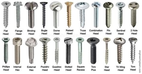 The Different Types Of Screws And Nuts Are Shown In This Chart Which