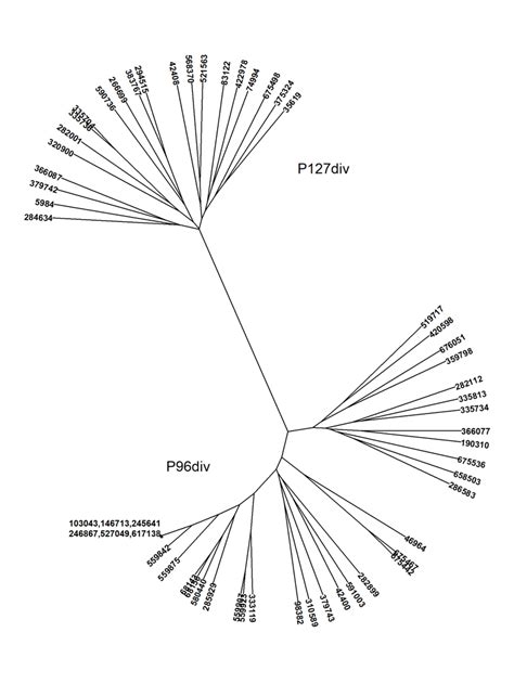 Hierarchical Clustering Mtsnps Based On 1 ϕ Two Sets Of Snps Are Shown Download Scientific