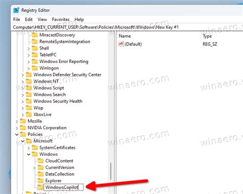 How To Disable Copilot In Windows And