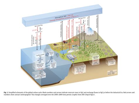 Scrutinizing The Carbon Cycle And Co2 Residence Time In The Atmosphere Hermann Harde Asserts