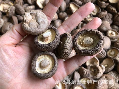 新货西峡香菇干货500g饭店餐饮散装批发无根冬菇黄焖鸡花菇香菇干 阿里巴巴