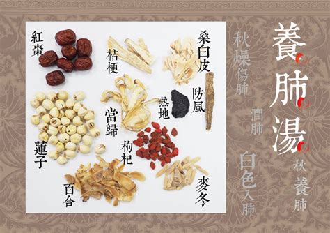 養肺湯（燉包） 正安藥房 Jan Herbs