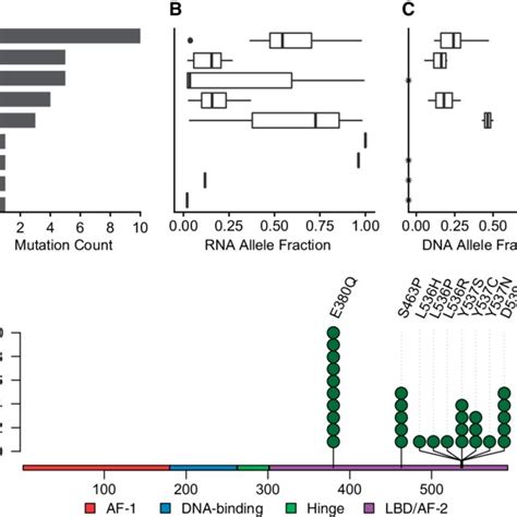 Esr1 Mutation Screening At Diagnosis In Early Breast Cancer 3217 Download Scientific Diagram
