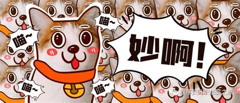 后端 深入探索go语言的unsafe包，揭秘它的黑科技和应用场景！ Go语言学习专栏 Segmentfault 思否