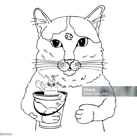 색칠 만화 암 고양이는 게자리가 앉아있는 양동이를 들고 벡터 조디악 일러스트 0명에 대한 스톡 벡터 아트 및 기타 이미지 0