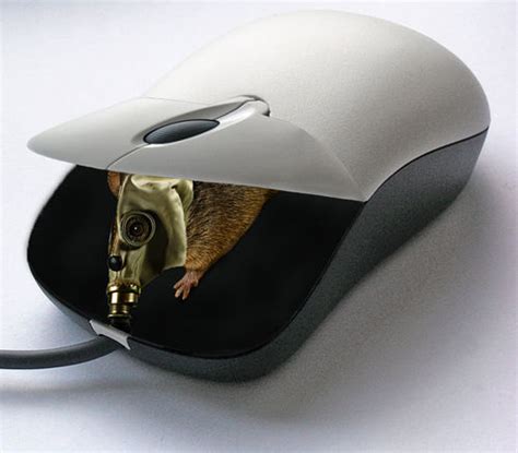 Computer Maus Stupidedia