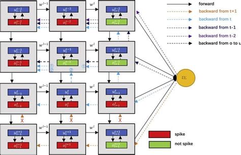 Biologically Plausible Spatiotemporal Adjustment Helps Train Deep Spiking Neural Networks