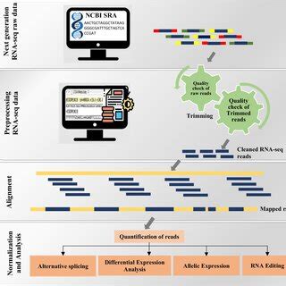 A Systematic Outline Of NGS RNA Sequencing Data Download Scientific Diagram