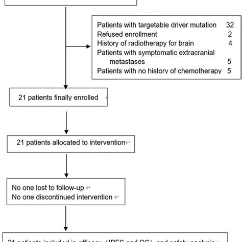 Study Flowchart Bm Indicates Brain Metastasis Ipfs Intracranial