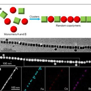 A Illustration Of The Synthesis Of Block Copolymers By Co Assembly Of Download Scientific