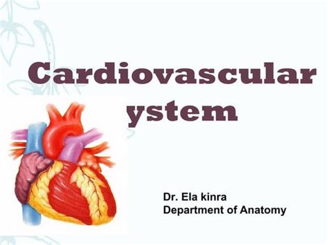 Circulatory Systempptx Grade 5 Quarter 2 Pptx Heart And
