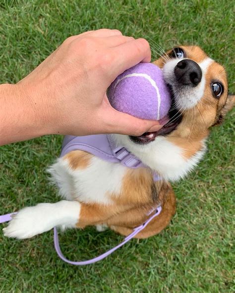 Pennyandsheldon Pennyandsheldon Added A New Photo — At
