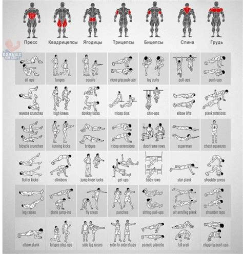 Результат пошуку зображень за запитом упражнения с собственным весом Gym Workout Tips