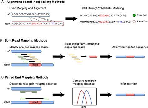 Figure 1 From Detection Of Structural Dna Variation From Next Generation Sequencing Data A