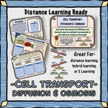 Cell Transport Diffusion Osmosis Interactive Lecture Notes TPT