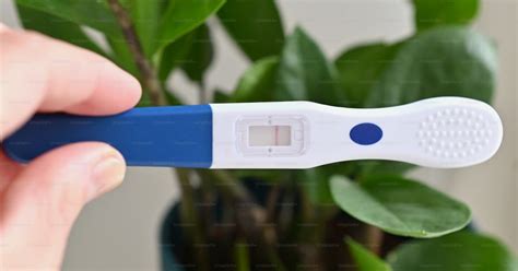 화분 앞에서 음성 임신 테스트기를 들고 있는 사람 사진 Unsplash의 임신 테스트 이미지