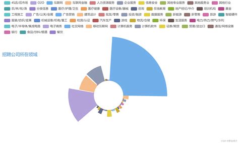 数据分析师岗位 分析可视化黄金猎犬的博客 Csdn博客