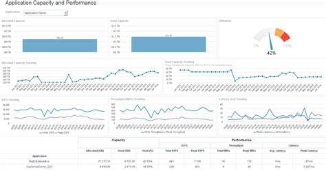 Application And Capacity Report NetApp OCI DWH IBM Cognos