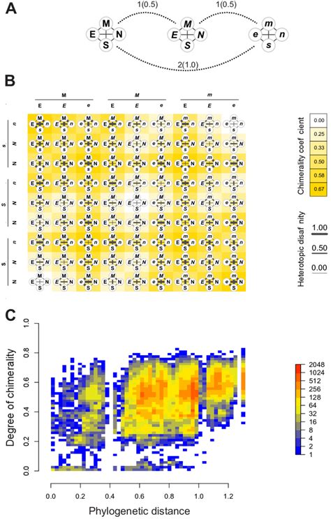 Computational Experiments Of Chimera Compositions Didactic Download Scientific Diagram