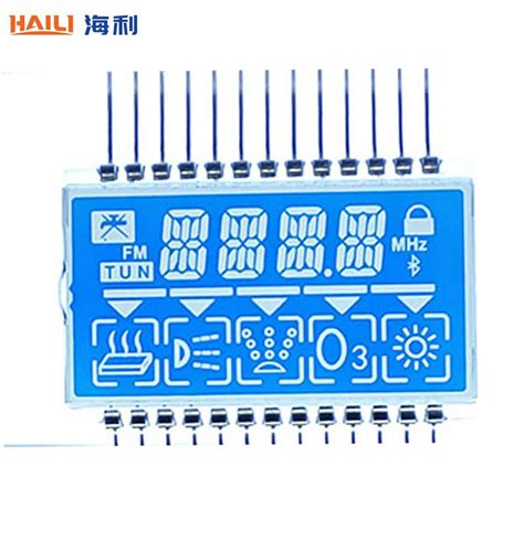 Fstn Segment Lcd Display Panel For Industrial Instruments