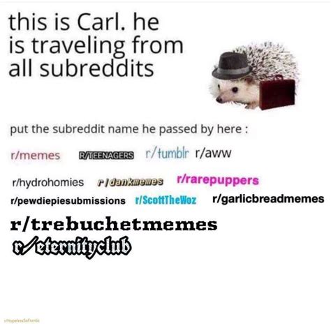 Enjoy Your Trip Nudes Hopelesssofrantic NUDE PICS ORG