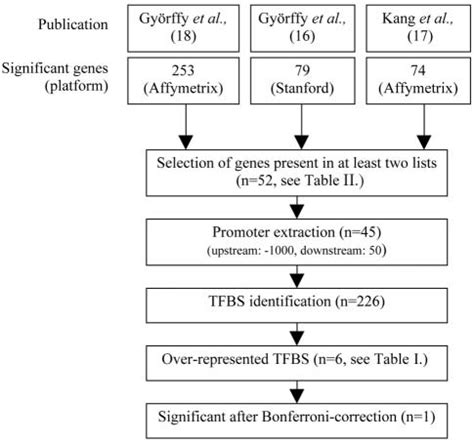 Overview Of The Data Input And The Performed Statistical Analysis Download Scientific Diagram