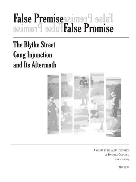 False Premise False Promise Pdf Problem Behavior Deviance Sociology