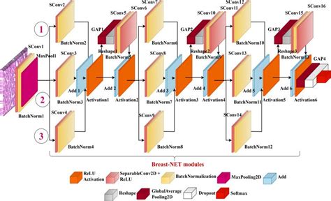 Mousumi Saha On Linkedin Breast Net A Lightweight Dcnn Model For Breast Cancer Detection And