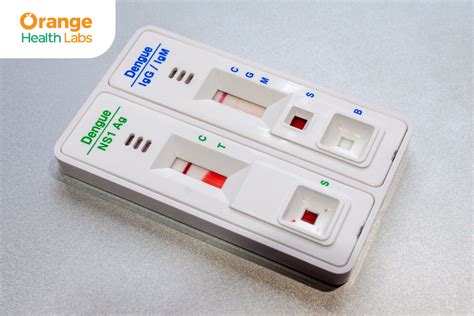 Early Dengue Detection Why Timely Testing Matters