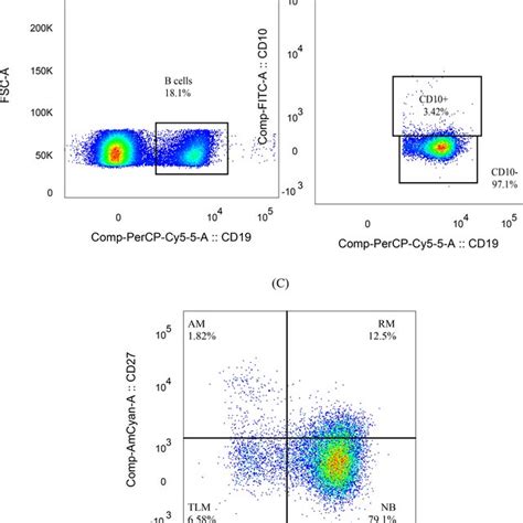 Gating Strategy For B Cell Sub Populations 1a Gating B Lymphocytes Download Scientific