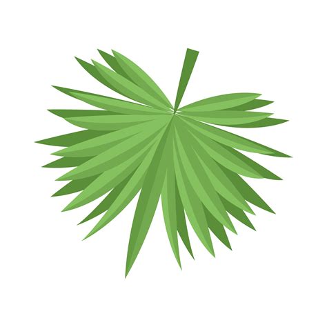 装饰图案 创意水彩棕榈树叶装饰图案 好图网