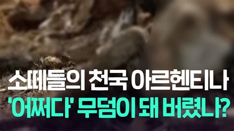 2천6백만 마리가 목말라 죽기 직전 소들이 죽은 채 쌓였다 14f 네이버 Tv