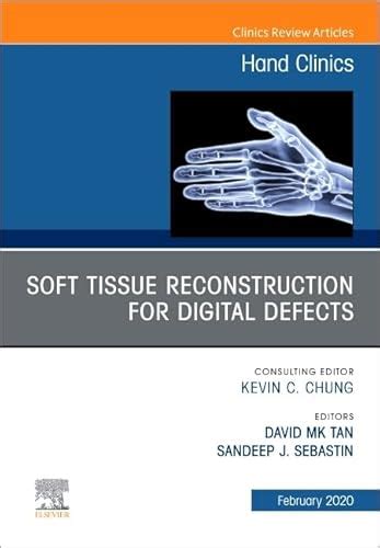 Soft Tissue Reconstruction For Digital Defects An Issue Of Hand Clinics 1e Volume 36 1 The