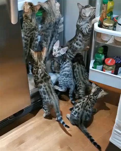 Discover Discord Aesthetic Headers Ideas On This Pinterest Board Cute Headers Cute