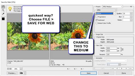Solved Resizing Photo Adobe Community 12325772
