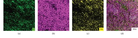 figure 4 from a sio2 hybrid enzyme based biosensor with enhanced