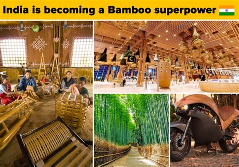prabhat verma on linkedin india is becoming bamboo super power greats news to celebrate