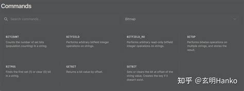 探索redis特殊数据结构：bitmaps位图在实际中的应用 知乎