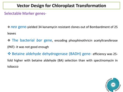 Chloroplast Transformation By Dr Swaati Sharmapptx