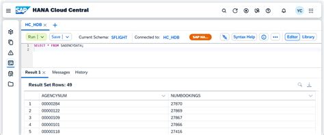 query the database using sql statements sap tutorials