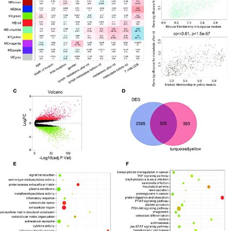 Biological Function And Pathway Annotation A Heatmap Of The