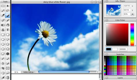 Top 5 Free Online Photo Editors Mostly Like Photoshop Techpatio