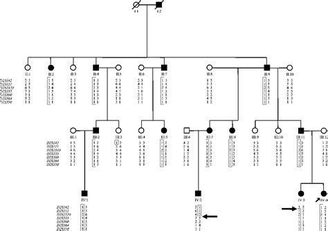 SCN A Gene Semantic Scholar