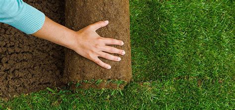 Техника для искусственного и натурального газона Toss Service